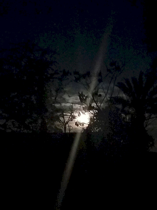 Wesak Moon: The Moon from the Big Island of Hawaii | Jaguar Spirit