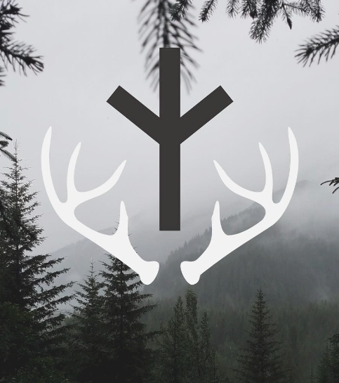 The Power of Symbols | Jaguar Spirit