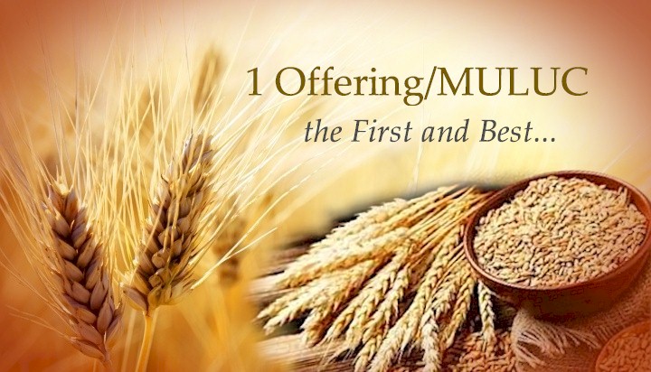 1 Offering / MULUC – The Light of the Scion | Jaguar Spirit