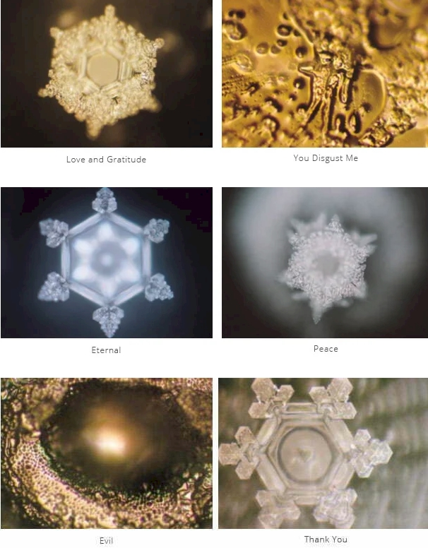 The Blessing of Water | Jaguar Spirit