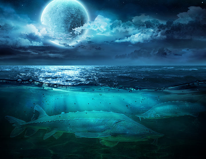 Full Sturgeon Super Moon, a Seasonal Blue Moon, and Jupiter Square ...