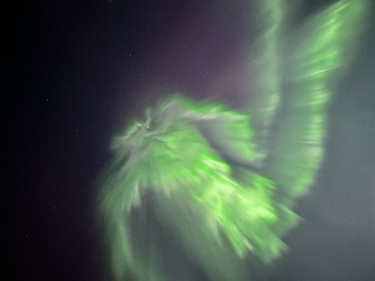 SPACEWEATHER: G-4 (Severe) CME Auroras | Jaguar Spirit