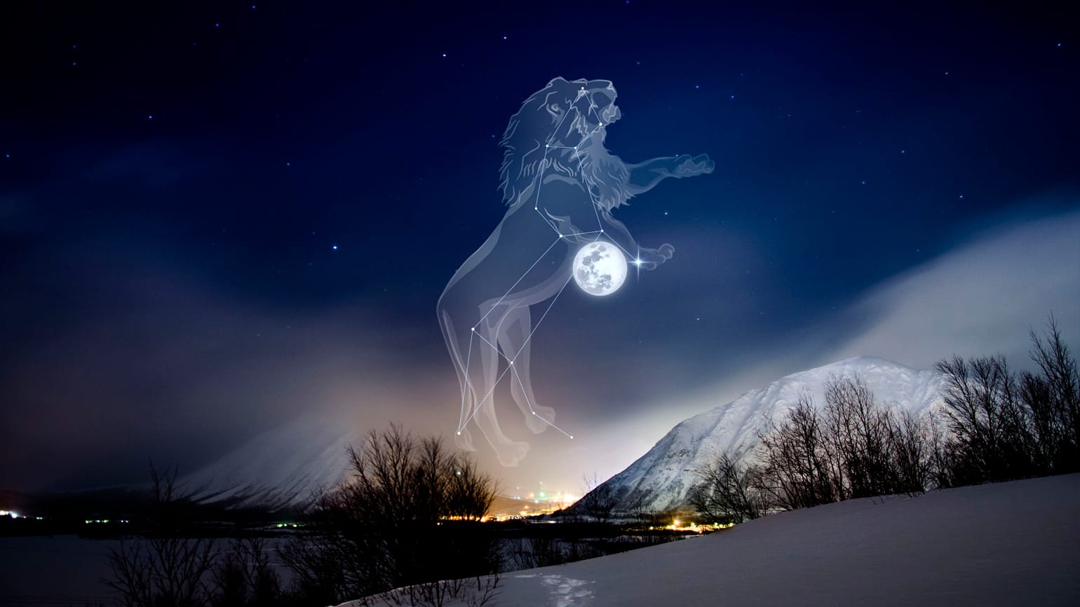 FULL SNOW MOON: Feb 12, 2025 | Jaguar Spirit